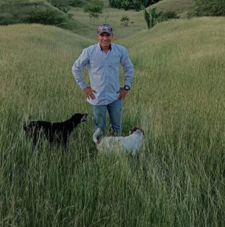 Pasto Angleton - Pasturas Tropicales | Semillas de pastos para ganado